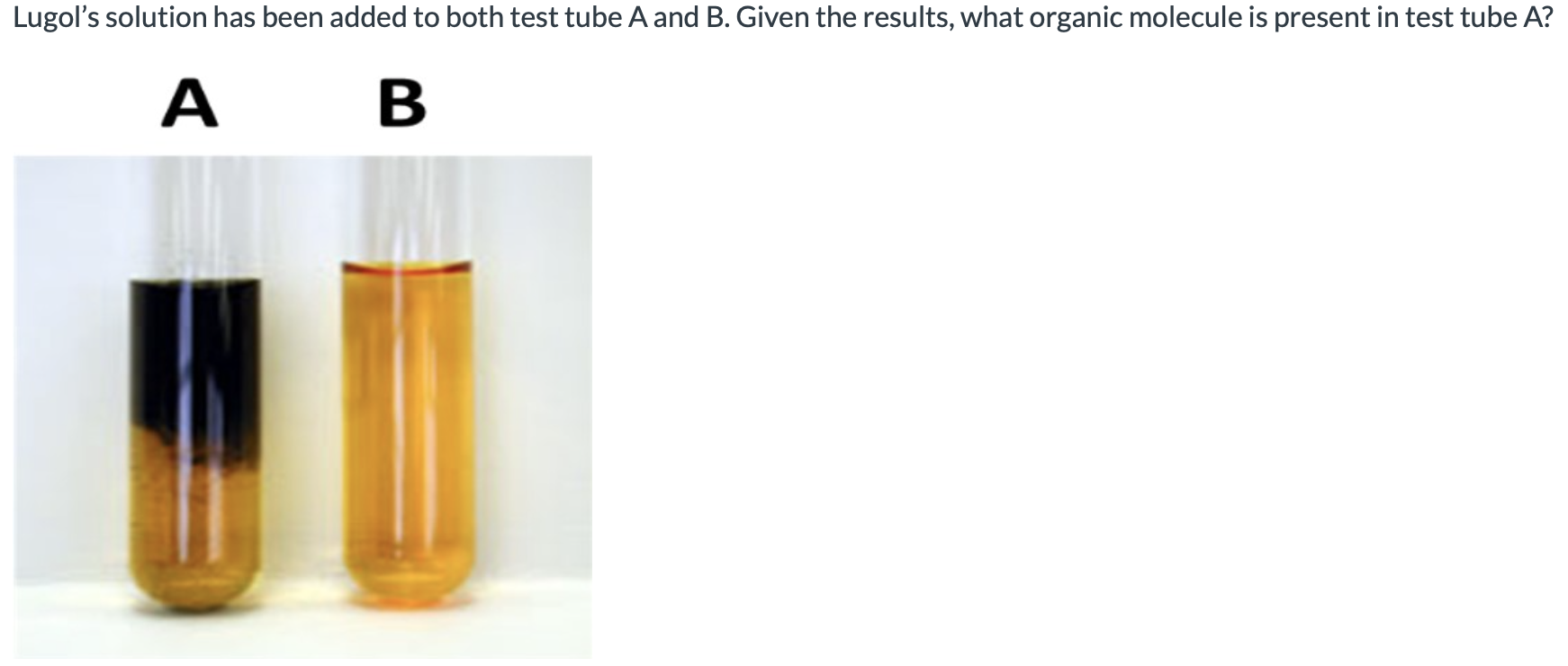 Solved Lugol's solution has been added to both test tube A | Chegg.com