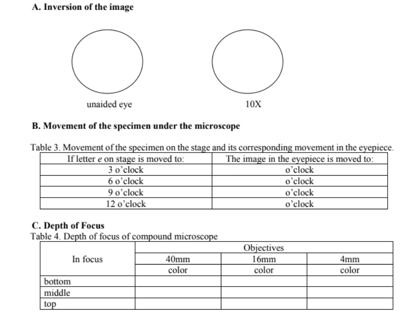 Solved A. Inversion of the image C O unaided eye 10X B. | Chegg.com