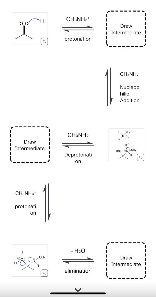 Solved \begin{tabular}{c|c} CH3NH3+ & Draw \\ \hline | Chegg.com