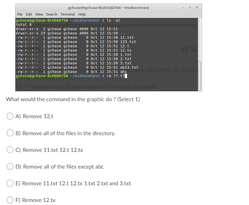Solved The use of environment variables in bash shell | Chegg.com
