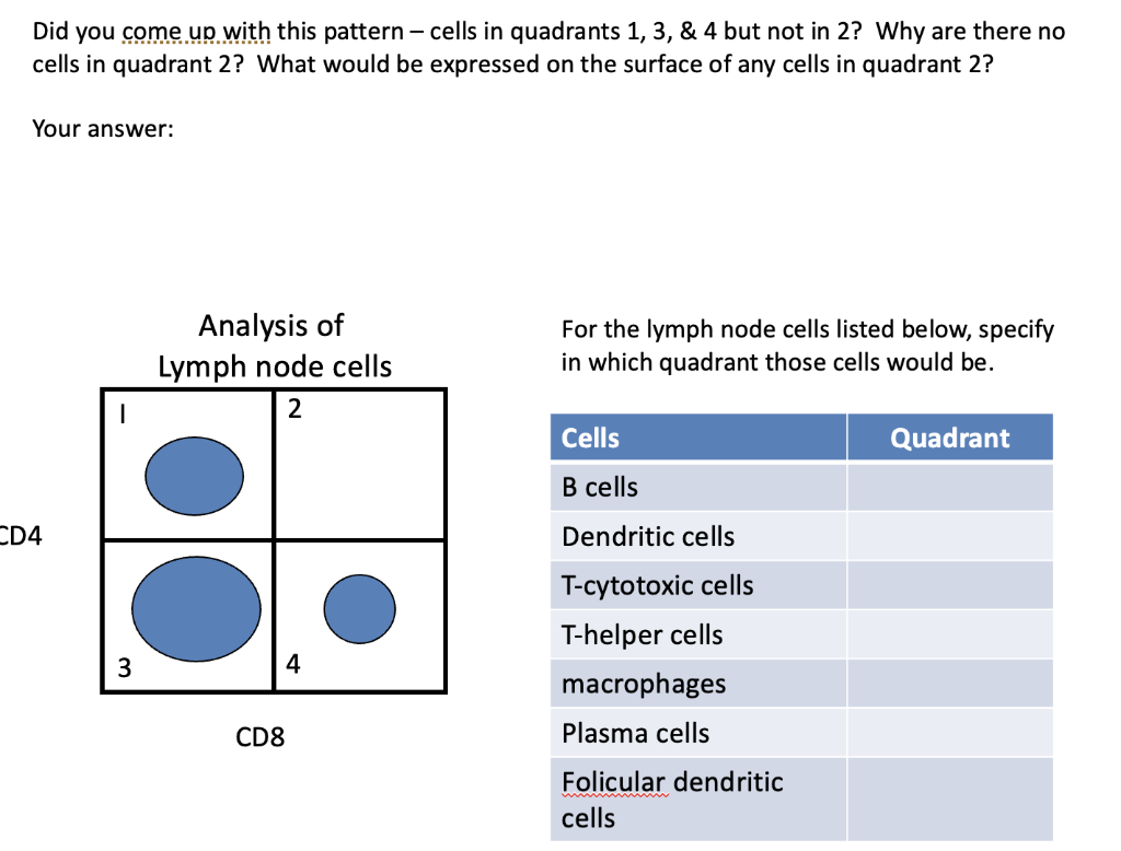 Solved Did you come up with this pattern - cells in | Chegg.com