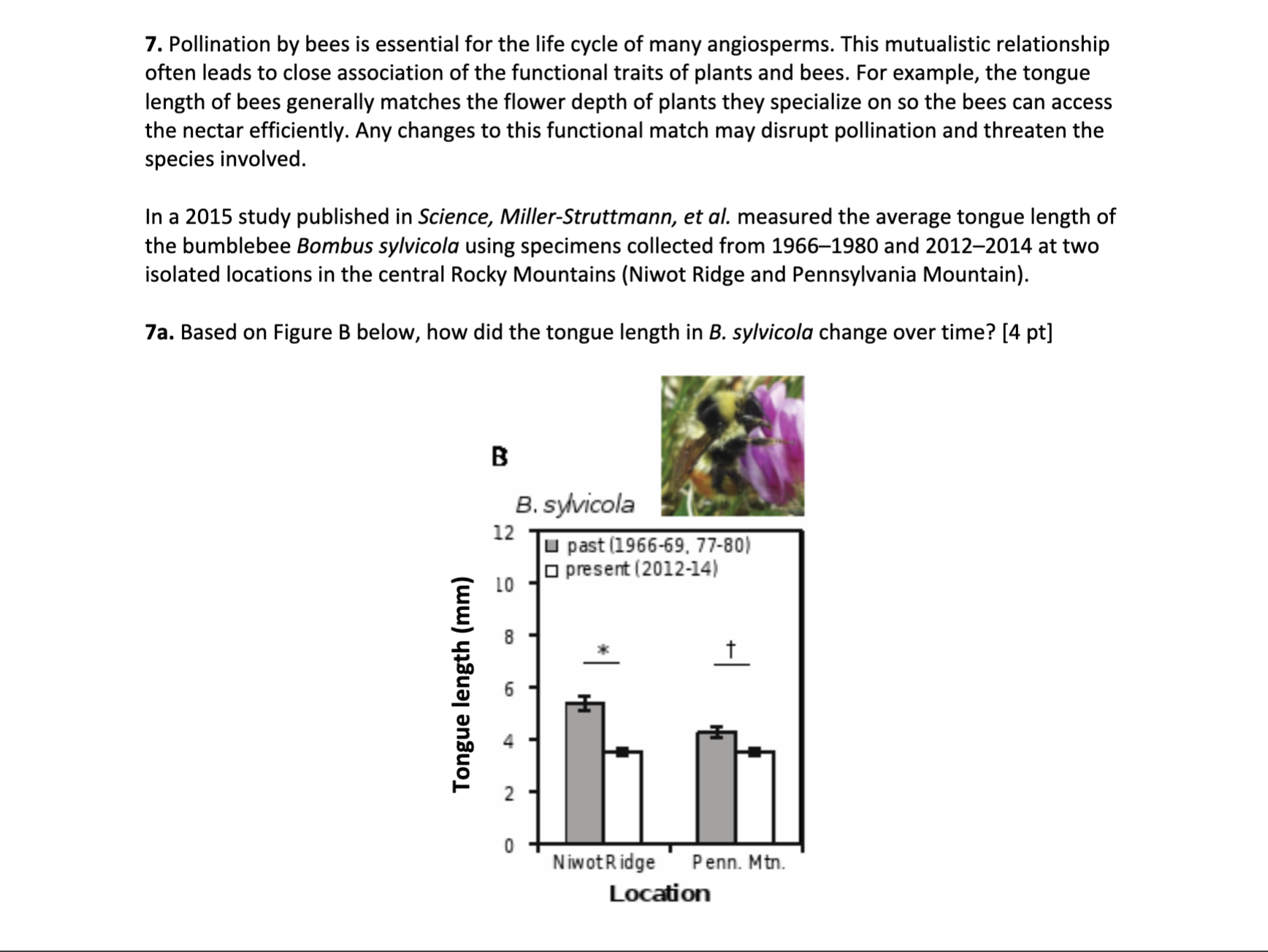Solved Pollination by bees is essential for the life cycle | Chegg.com