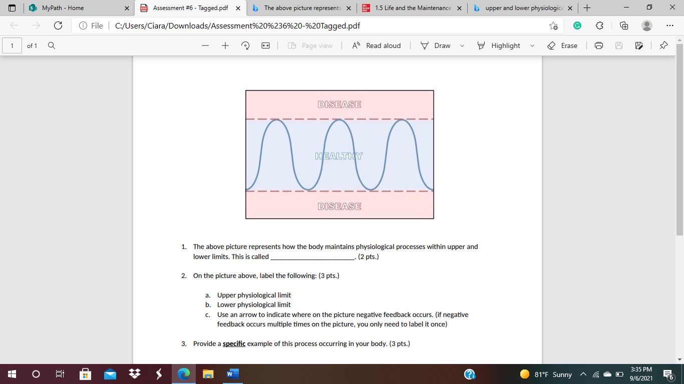 Solved MyPath - Home х D Assessment #6 - Tagged.pdf X The | Chegg.com