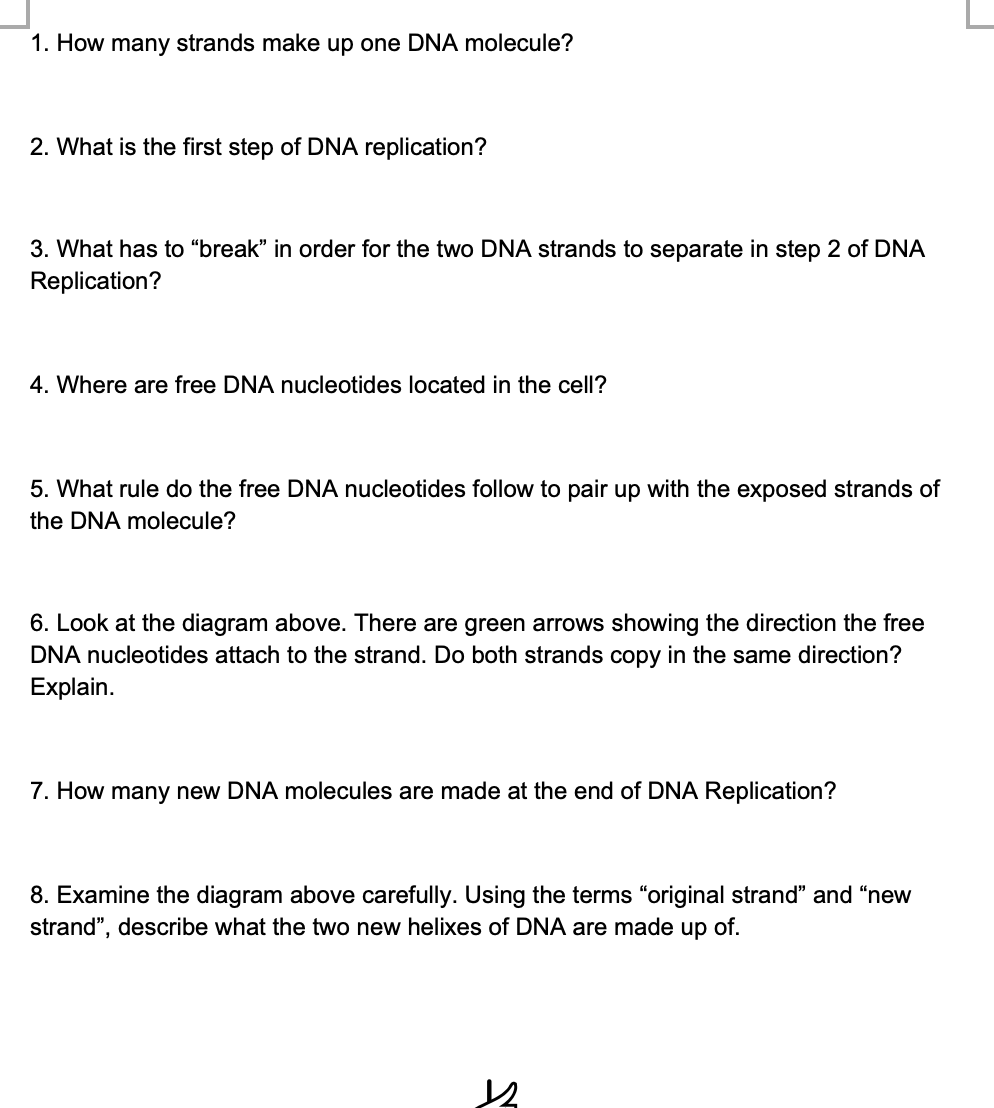 Solved DNA Replication Directions: Using the lesson material | Chegg.com
