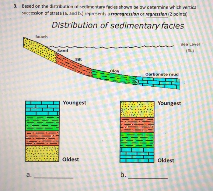 Solved 3. Based on the distribution of sedimentary facies | Chegg.com