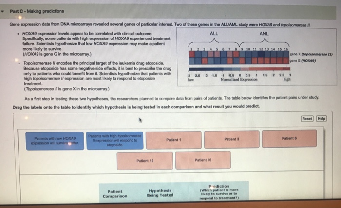 Part C- Making predictions Gene expression data from | Chegg.com