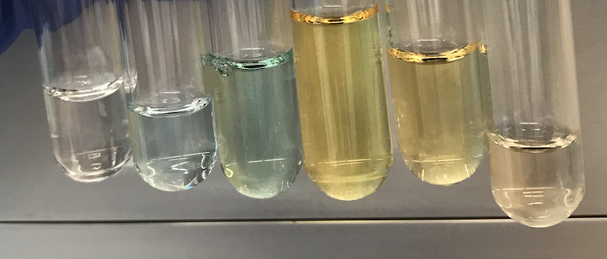 Hello! I am struggling to create an elution profile % | Chegg.com