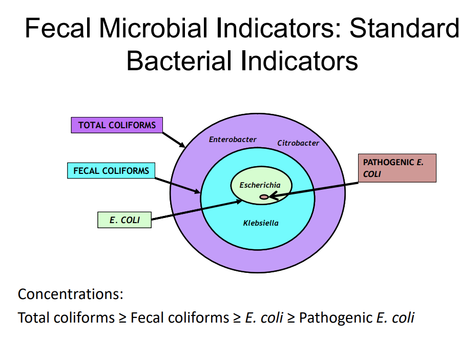 Solved 1-Why is Fecal coliforms concentration > E. | Chegg.com