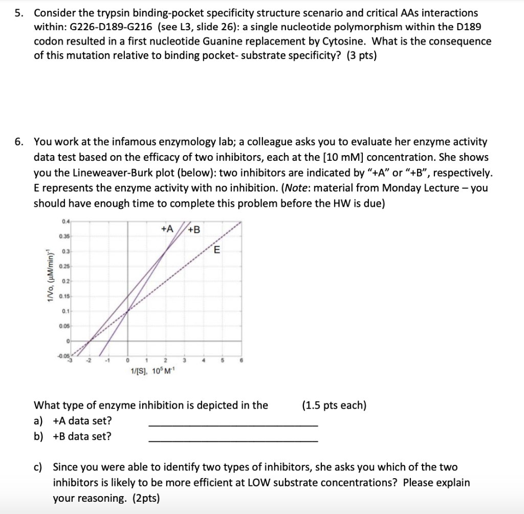 Solved Consider the trypsin binding-pocket specificity | Chegg.com