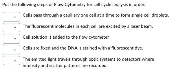 Solved Put the following steps of Flow Cytometry for cell | Chegg.com