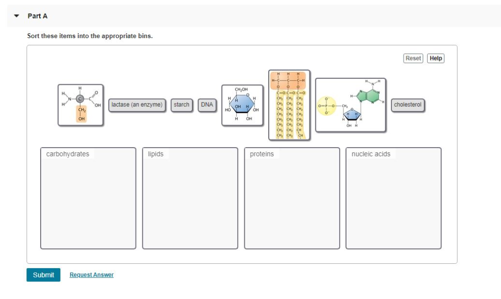 Solved Part A Sort these items into the appropriate bins. | Chegg.com