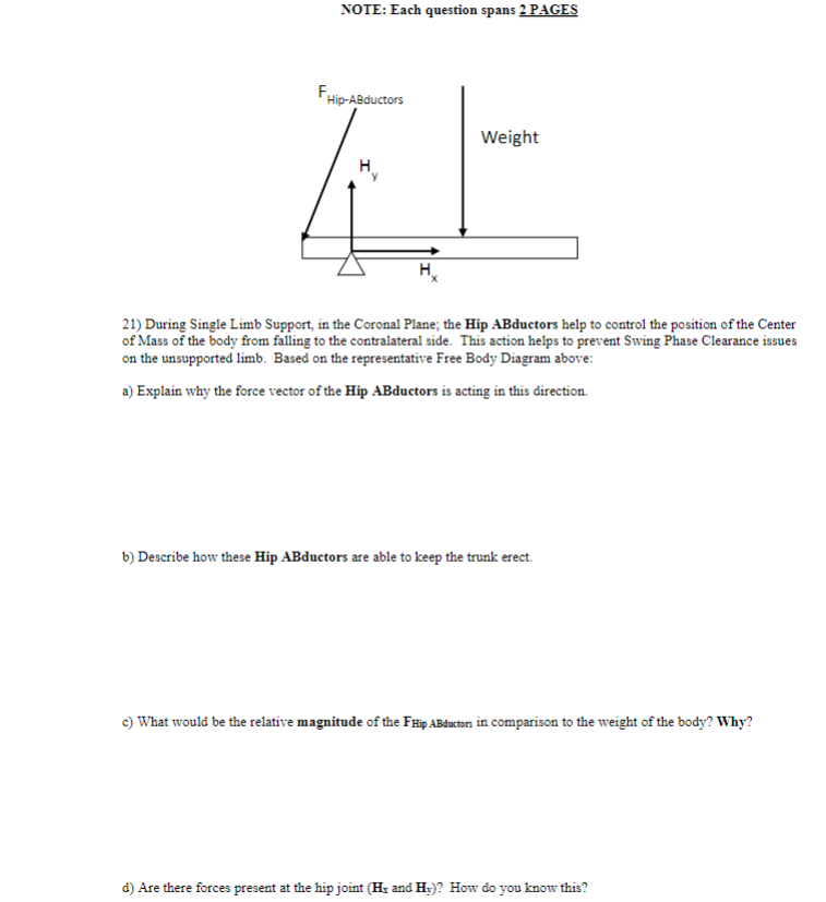 21) During Single Limb Support, in the Coronal Plane; | Chegg.com