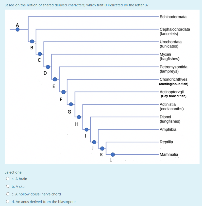 Solved Based on the notion of shared derived characters, | Chegg.com
