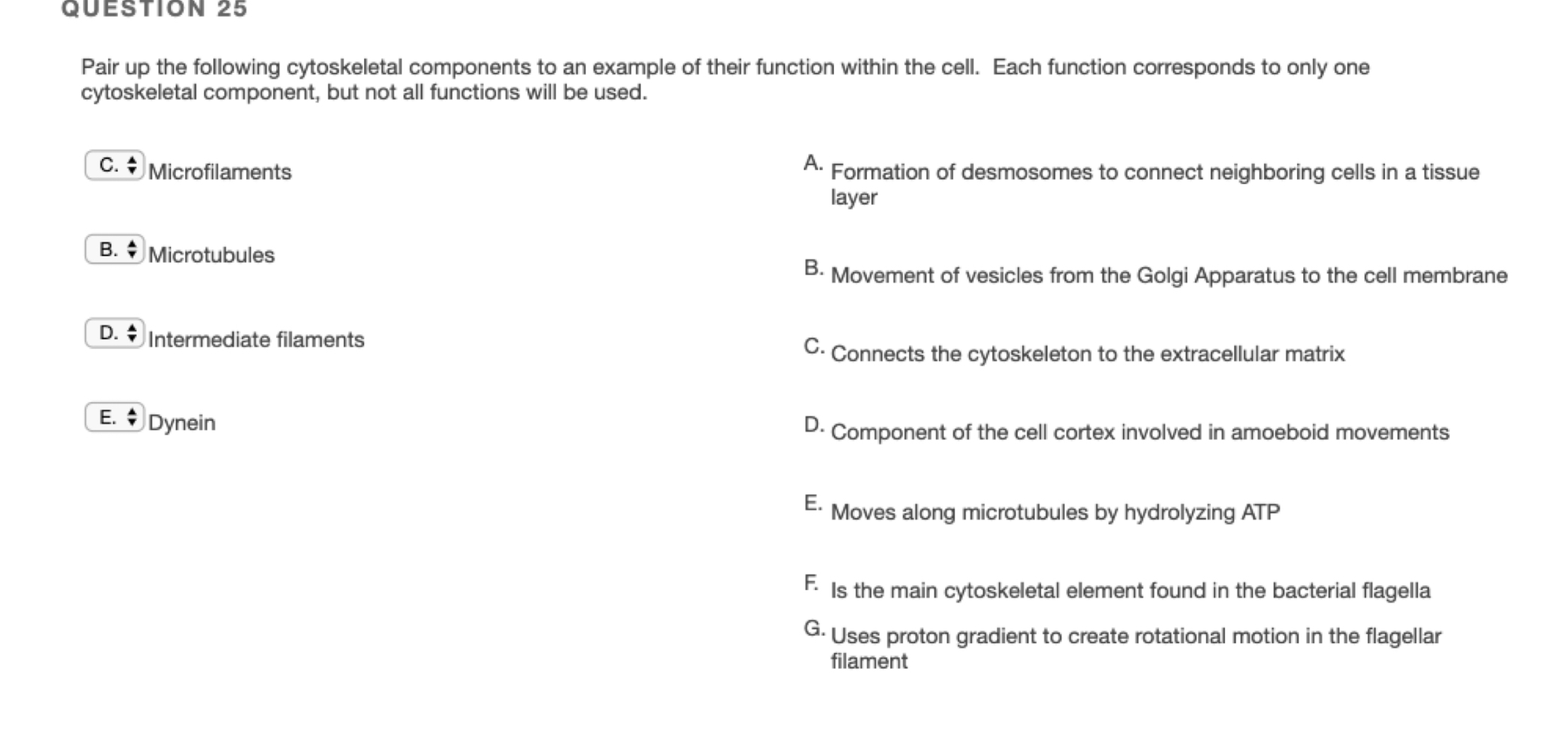 Solved QUESTION 25 Pair up the following cytoskeletal | Chegg.com