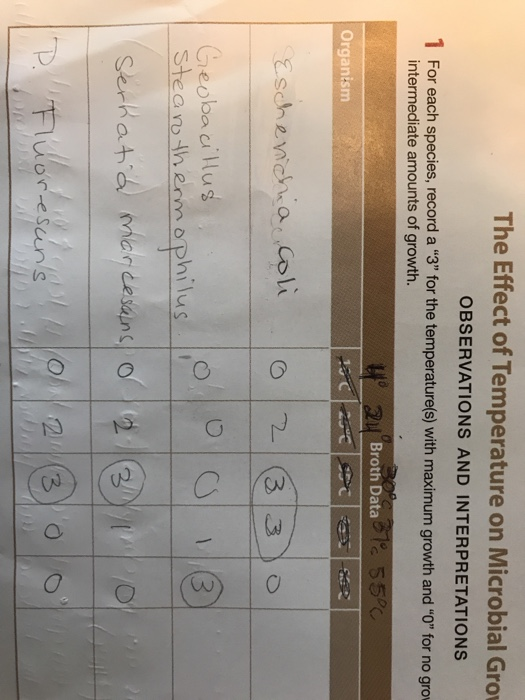 Solved 2 Plot relative turbidity (numeric values) versus | Chegg.com