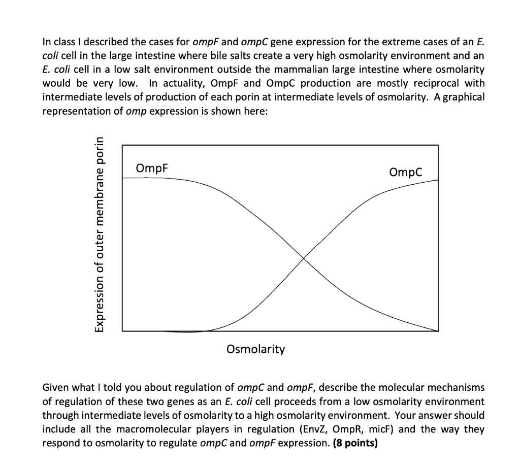 Solved In class I described the cases for ompF and ompc gene | Chegg.com