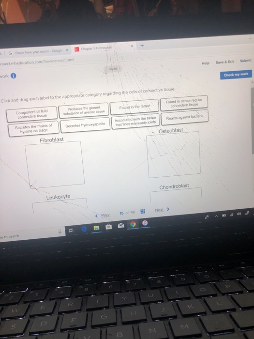 Solved {| G,leave here year round . Goog, nnect mheducat | Chegg.com