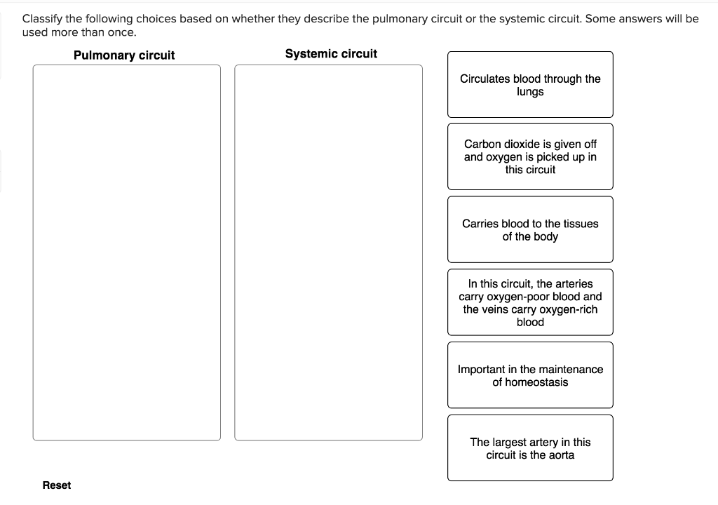 Solved Classify the following choices based on whether they | Chegg.com