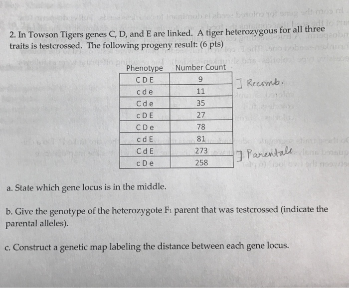 Solved 2. In Towson Tigers genes C, D, and E are linked. A | Chegg.com