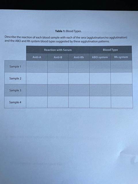 Solved Table 1: Blood Types Describe the reaction of each | Chegg.com
