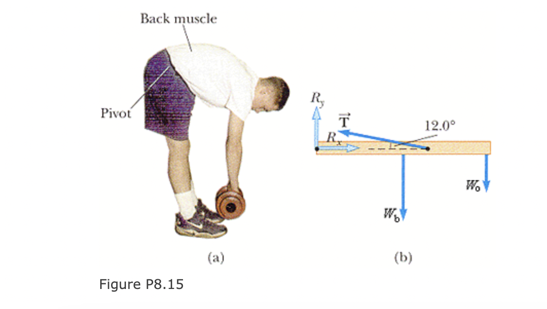 Solved A person bending forward to lift a load "with his | Chegg.com