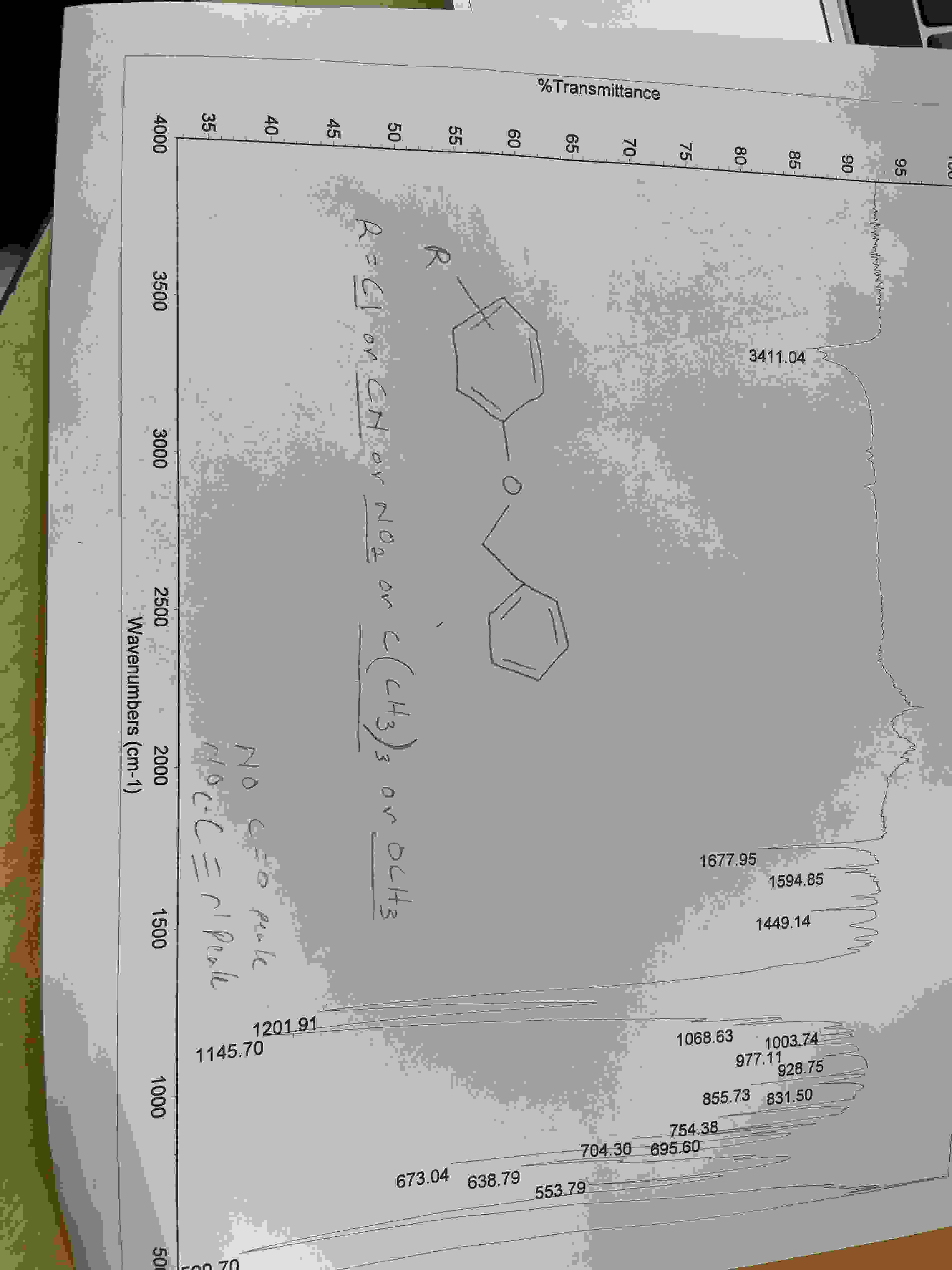 Solved The R group can either be Cl, CN, NO2, C(CH3)3, or | Chegg.com