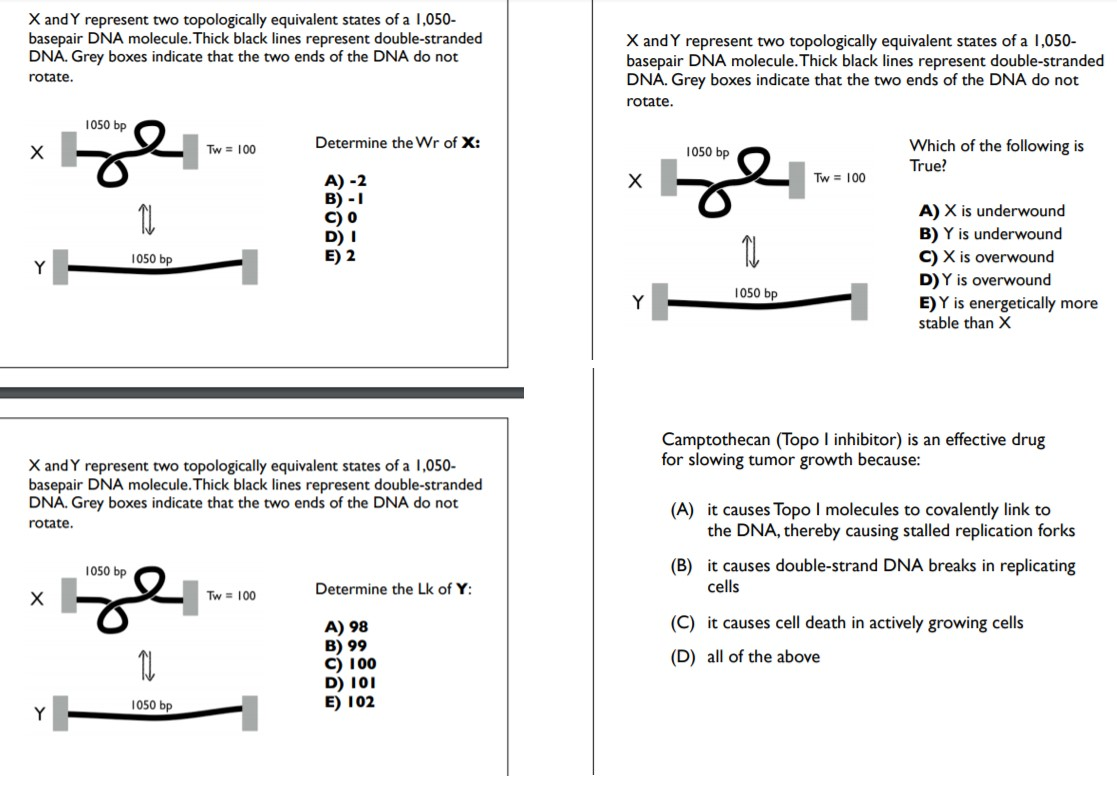 Solved X and Y represent two topologically equivalent states | Chegg.com