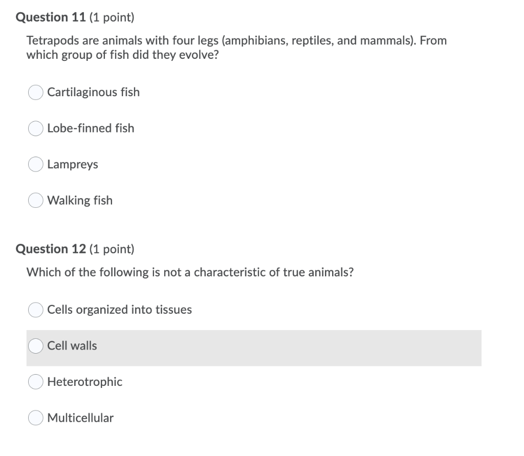 Solved Question 11 (1 point) Tetrapods are animals with four | Chegg.com