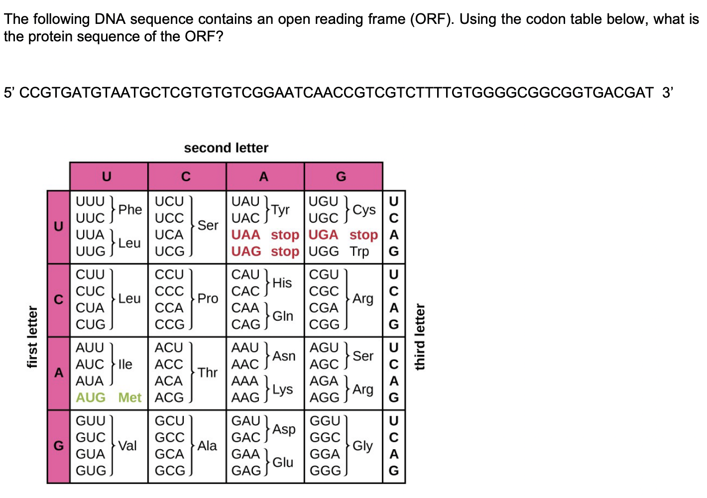 Solved The following DNA sequence contains an open reading | Chegg.com