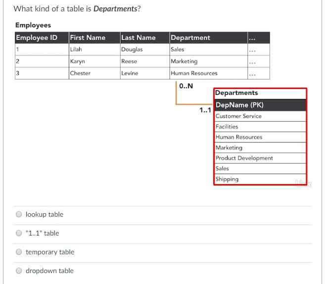 Solved What kind of a table is Departments? Employees | Chegg.com