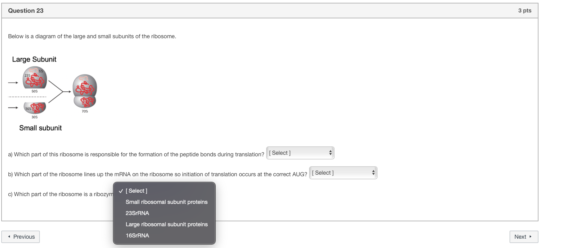 Solved Below is a diagram of the large and small subunits of | Chegg.com