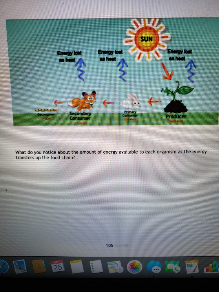 Solved SUN What do you notice about the amount of energy | Chegg.com