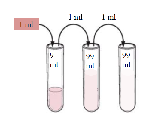 Solved Solve the following dilution series problem in the | Chegg.com | Chegg.com