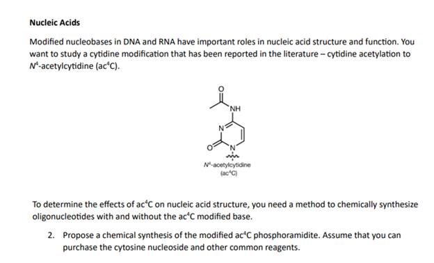 Solved Nucleic Acids Modified nucleobases in DNA and RNA | Chegg.com