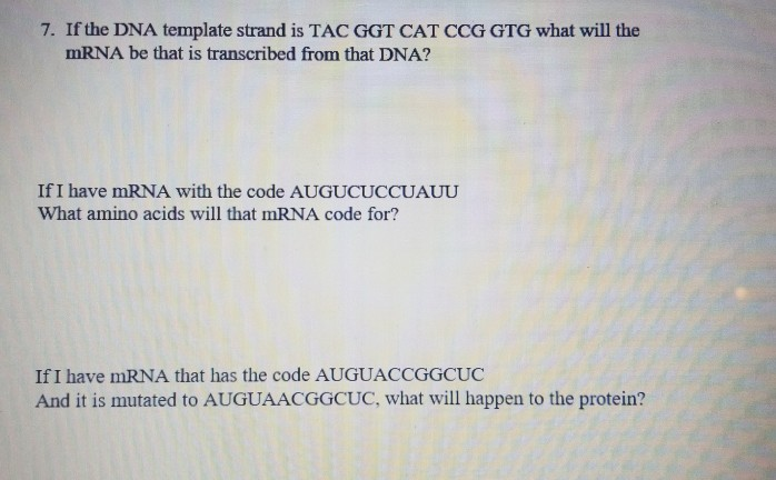 Solved 7. If the DNA template strand is TAC GGT CAT CCG GTG | Chegg.com