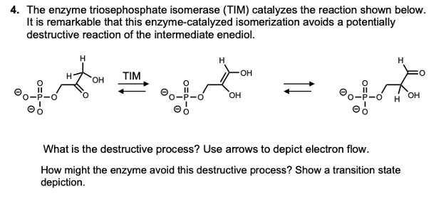 Solved 4. The enzyme triosephosphate isomerase (TIM) | Chegg.com