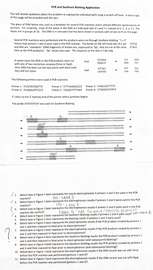 Solved I need help understanding how to read PCR and | Chegg.com