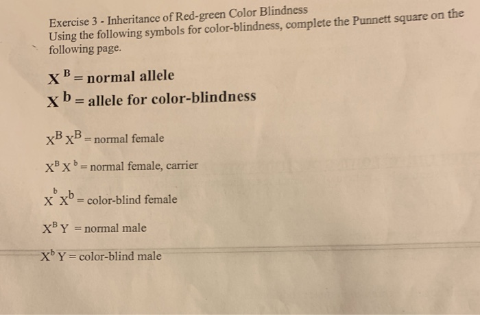 Solved Exercise 3-Inheritance of Red-green Color Blindness | Chegg.com