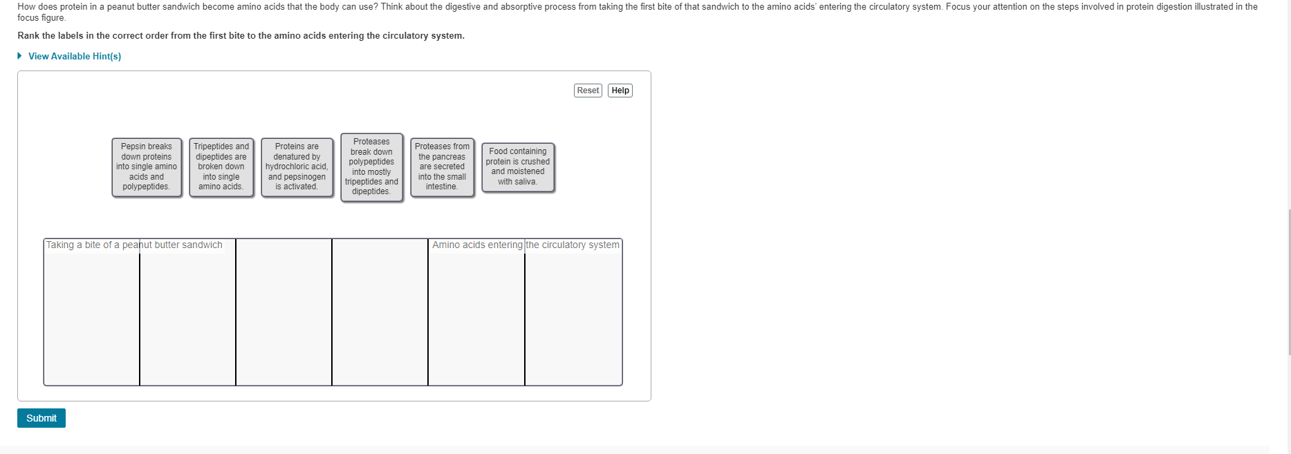 Solved focus figure, Rank the labels in the correct order | Chegg.com