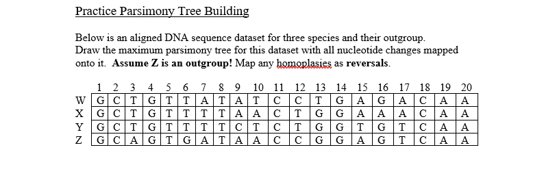 Also, what synapomorphies support this tree? What are | Chegg.com