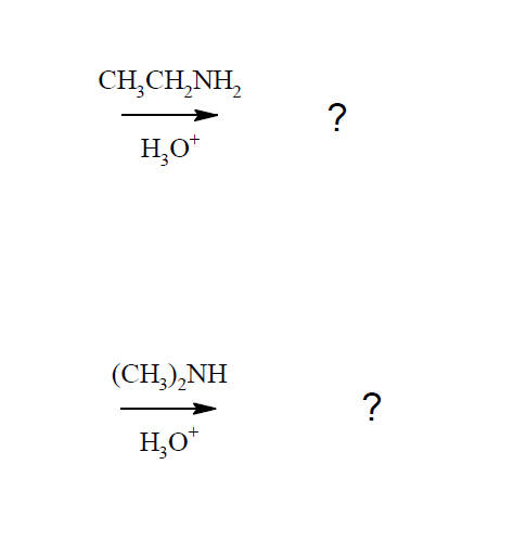 Solved CH,CHNH, ? H0+ (CH3)2NH ? H0+ | Chegg.com