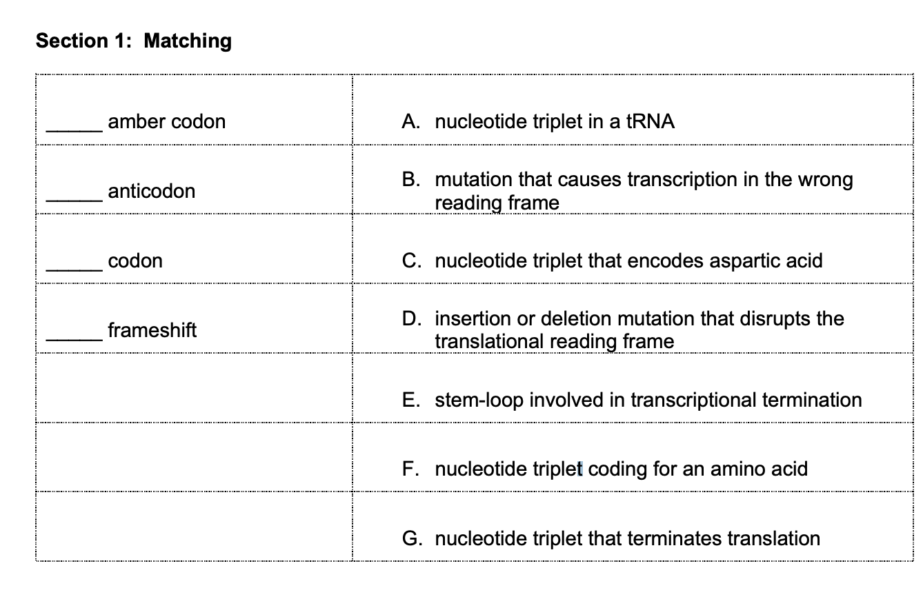 Solved Section 1: Matching amber codon A. nucleotide triplet | Chegg.com