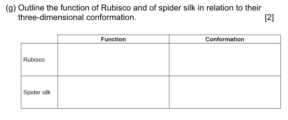 Solved (g) Outline the function of Rubisco and of spider | Chegg.com