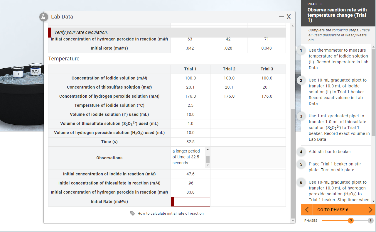 Solved PHASE 5: Observe reaction rate with temperature | Chegg.com