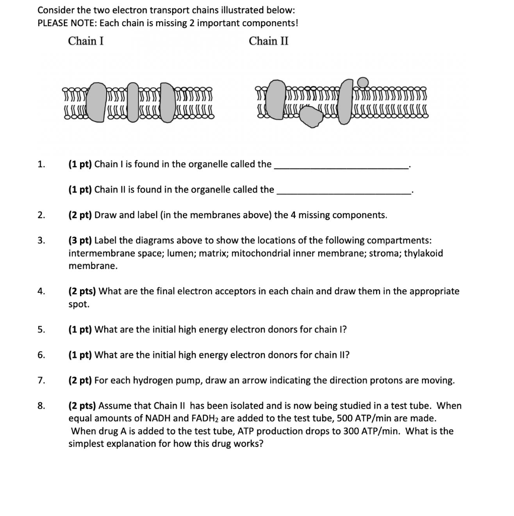 Solved Consider the two electron transport chains | Chegg.com