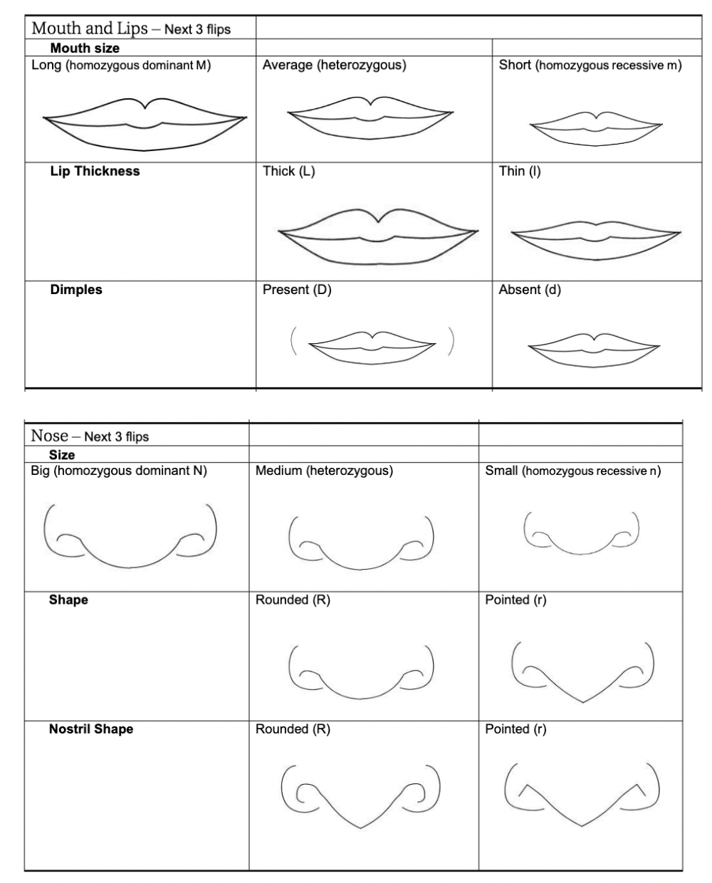 Solved Lab Genetics Let's Make a Baby! Congratulations on | Chegg.com