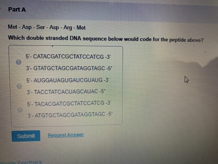 Solved Part A Met-Asp-Ser -Asp- Arg -Met Which double | Chegg.com