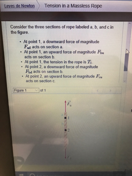 Solved Consider the three sections of rope labeled a, b, and | Chegg.com