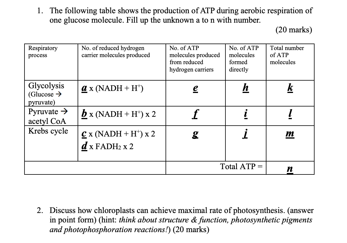 Solved 1. The following table shows the production of ATP | Chegg.com