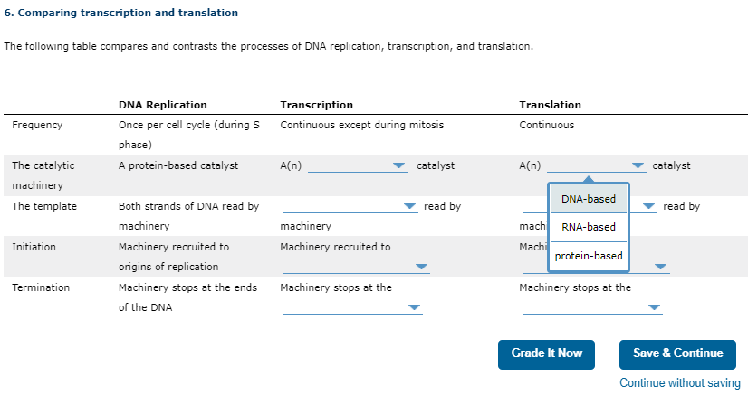 Solved 6. Comparing transcription and translation The | Chegg.com